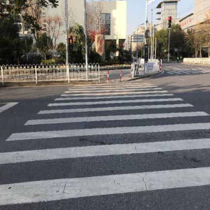 crosswalk_new Object Detection Dataset by Capstone