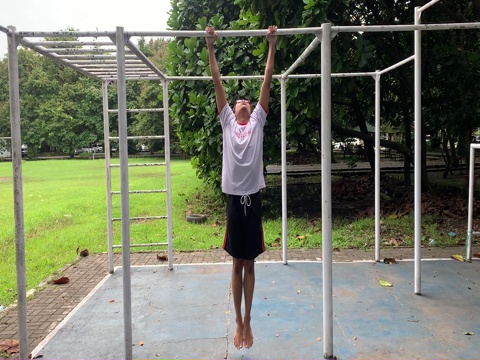 Pull-up Bar Recognition Object Detection Dataset by pullupbarrecognition