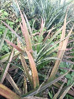 jjhgjh - Roboflow Universe