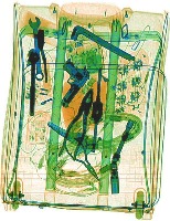 Xray Danger Object Detection Roboflow Universe