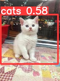 PBL Object Detection Dataset by PBL