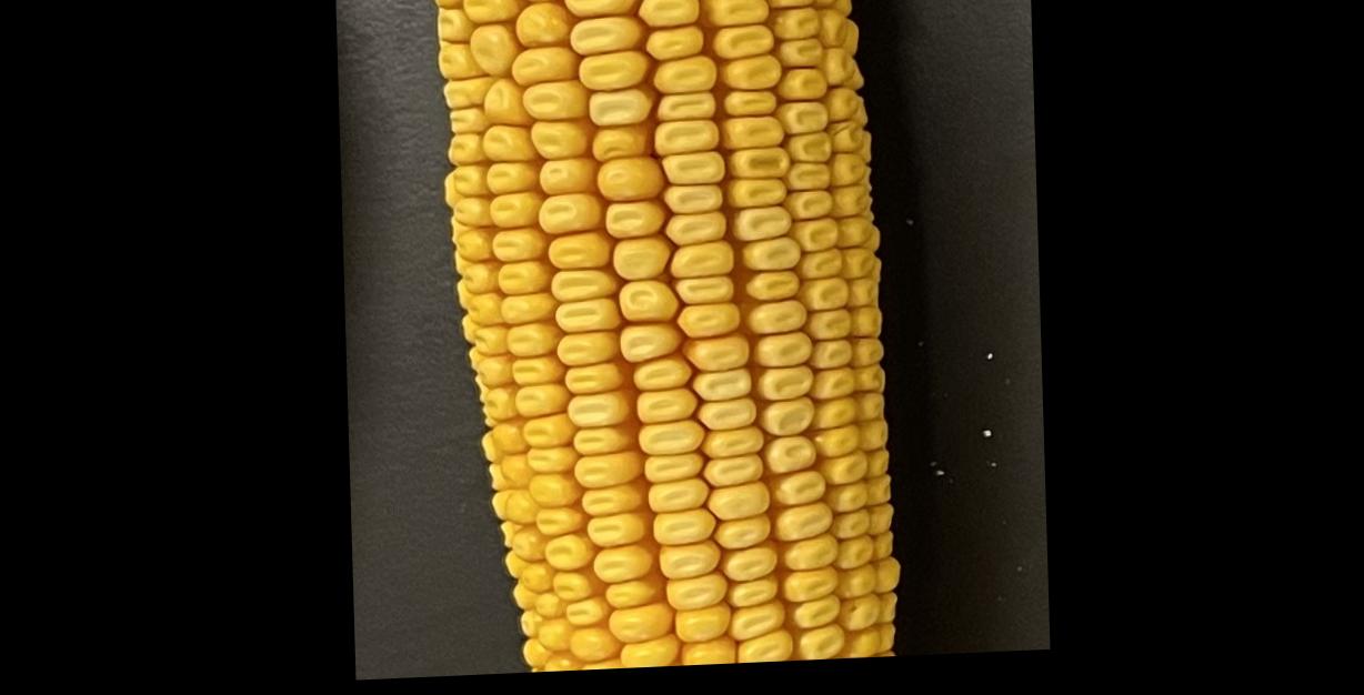 Version_mix Object Detection Dataset by Classmachine