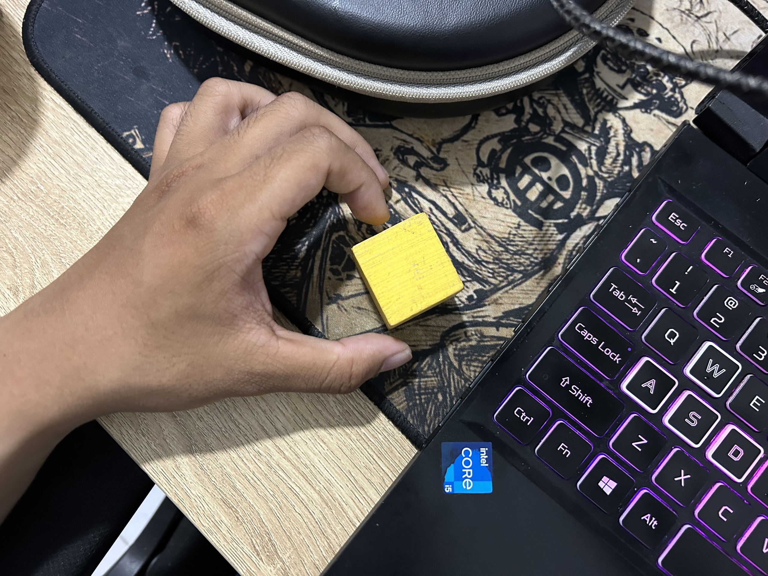 REFERENCE Instance Segmentation Model by Reference