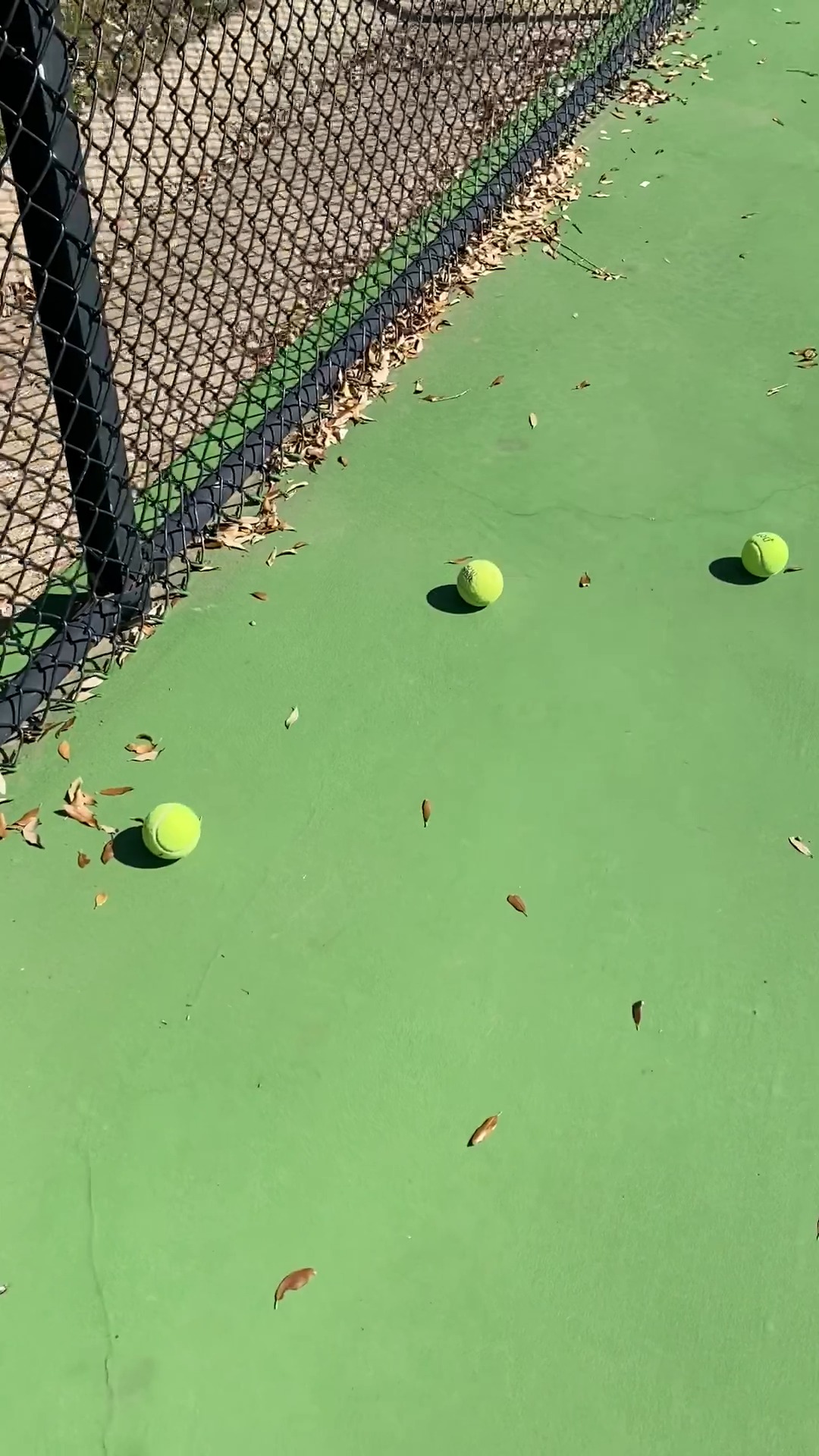 Tennis Balls + v4 Object Detection Dataset and Pre-Trained Model by ...