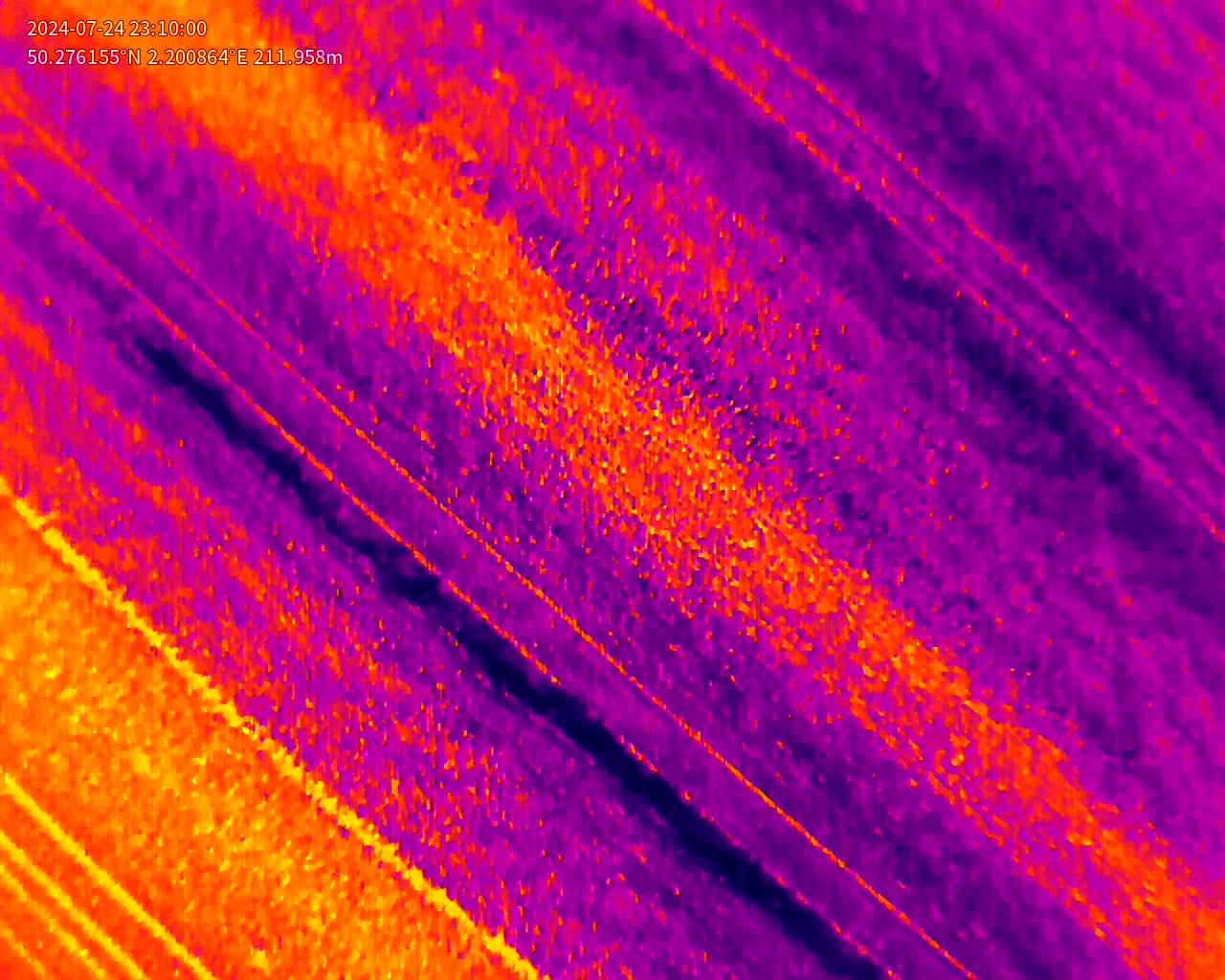 Suivi chiros Object Detection Dataset and Pre-Trained Model by AZ