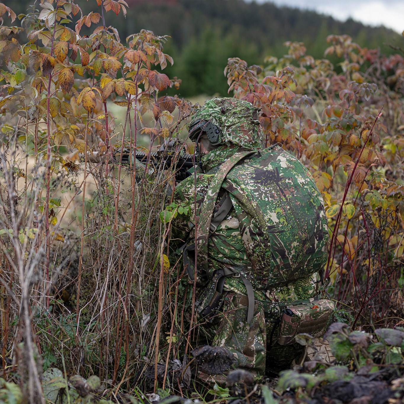 How to Use the comaflged1 Semantic Segmentation API