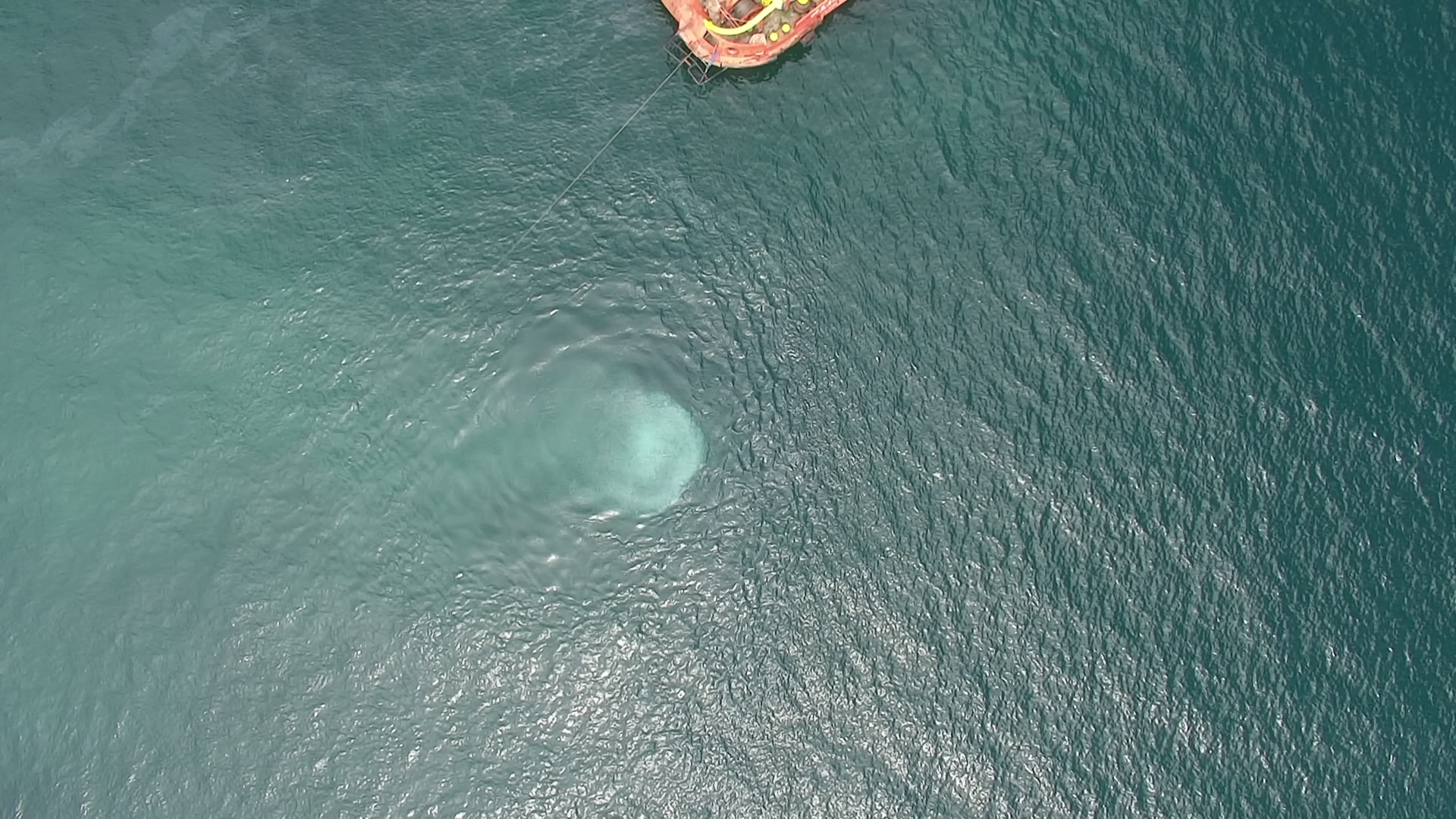 Oil spill and Gass Bubble Object Detection Model by mydata