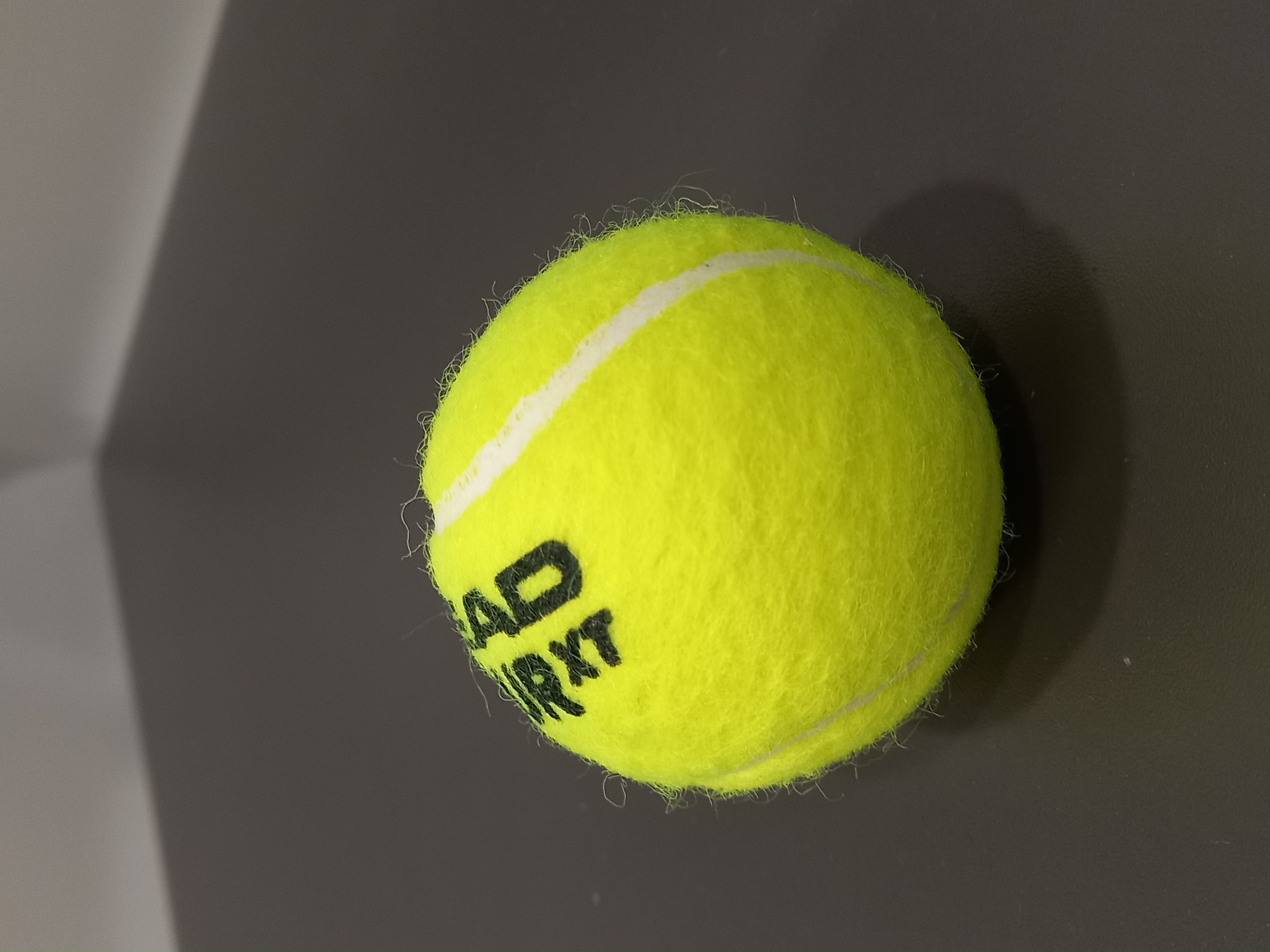 gipper - Roboflow Universe