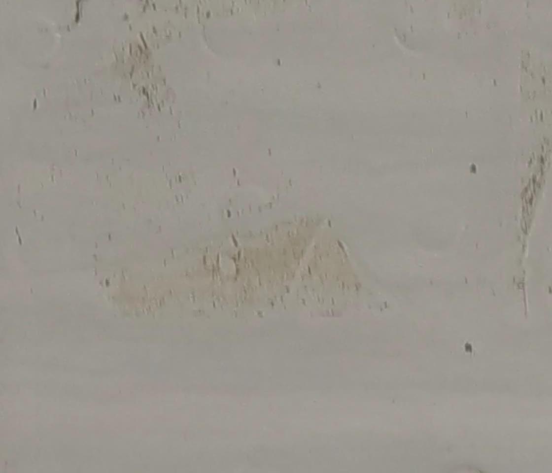 ieee Object Detection Dataset and Pre-Trained Model by beijing u