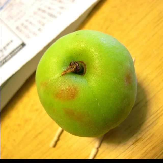 Apple Recognition Object Detection Model by essex