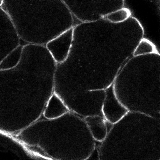 data_prep_det3 Object Detection Dataset and Pre-Trained Model by CapSAM
