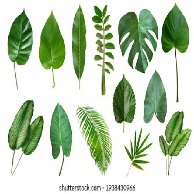 yolov8 Object Detection Dataset by Bharti