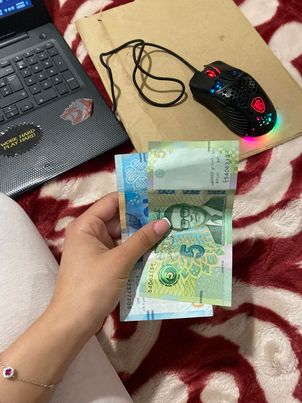 currency final Object Detection Dataset and Pre-Trained Model by new