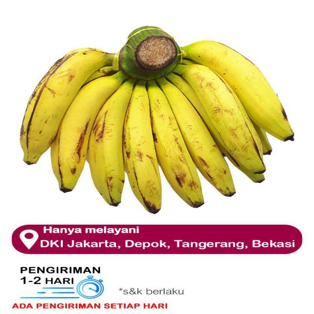 banana Object Detection Model by kipleyTaylor