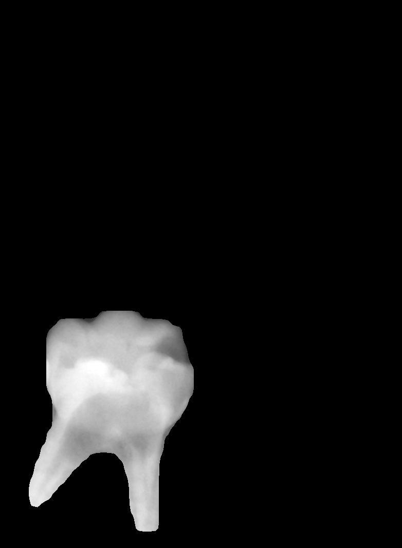 Active Learning Predictions Instance Segmentation Dataset by bb