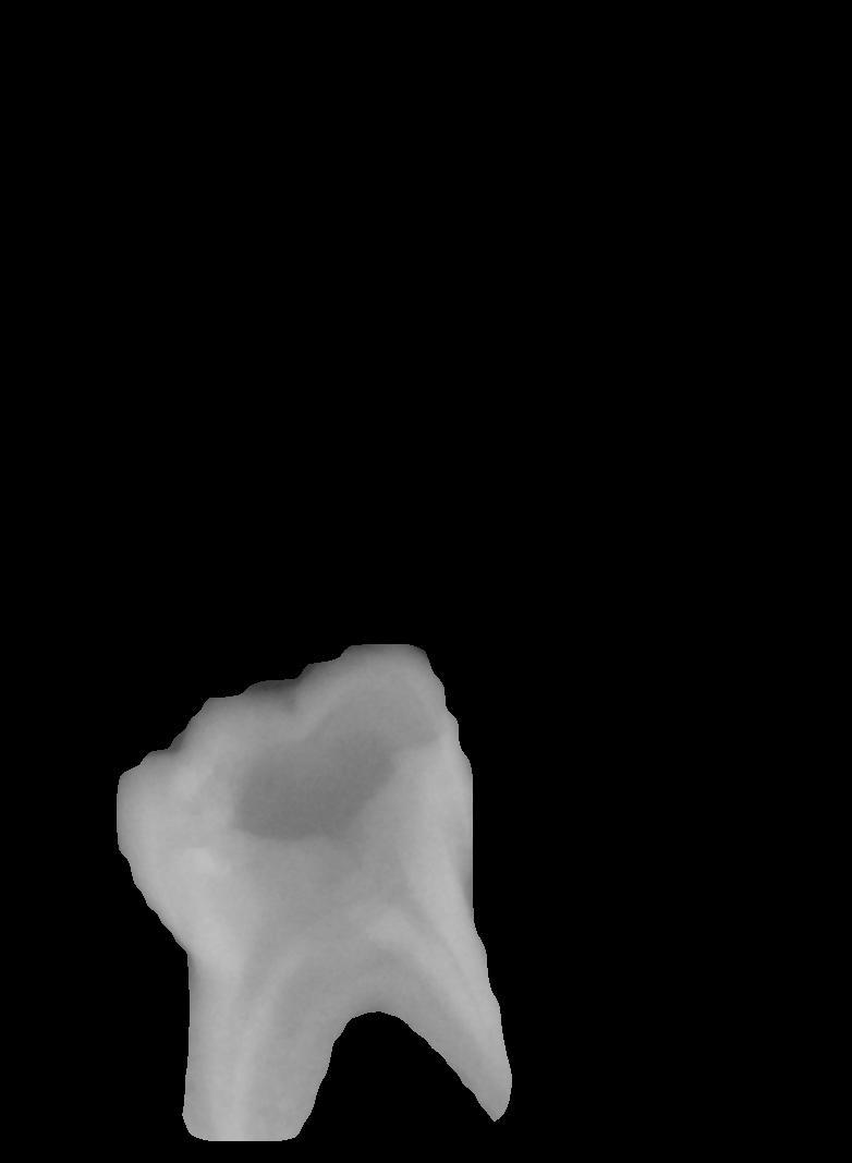 Active Learning Train Instance Segmentation Dataset by bb