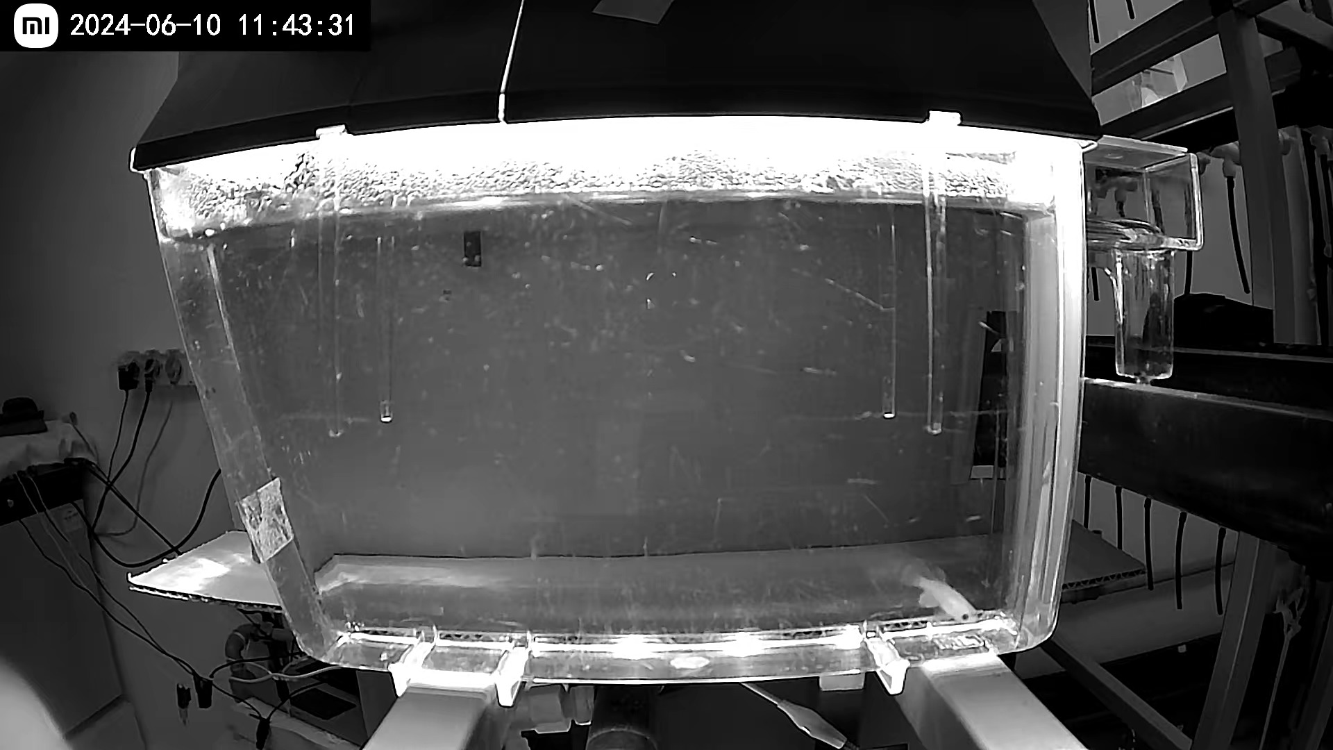 fish tracking Object Detection Dataset by Huji