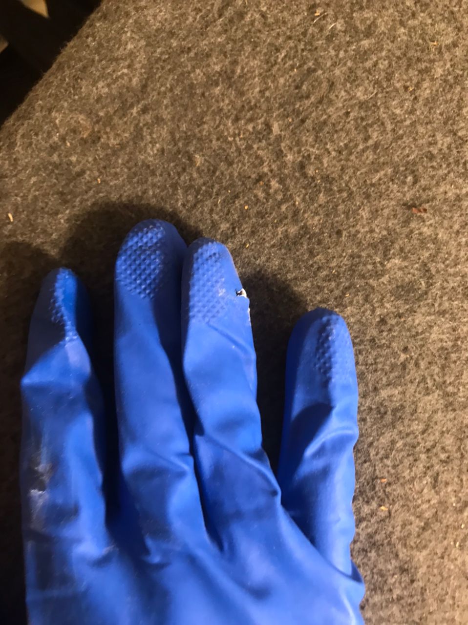 How To Use The Glove Defection Object Detection Api