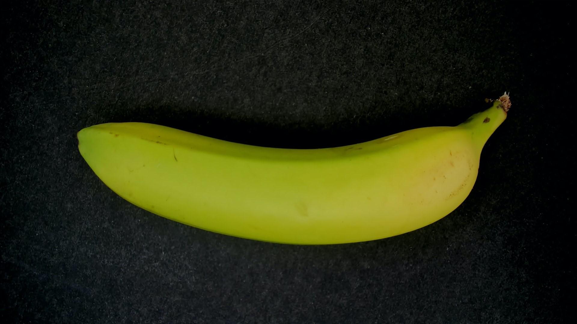 Augmentasi defect 1 Object Detection Dataset by Laola