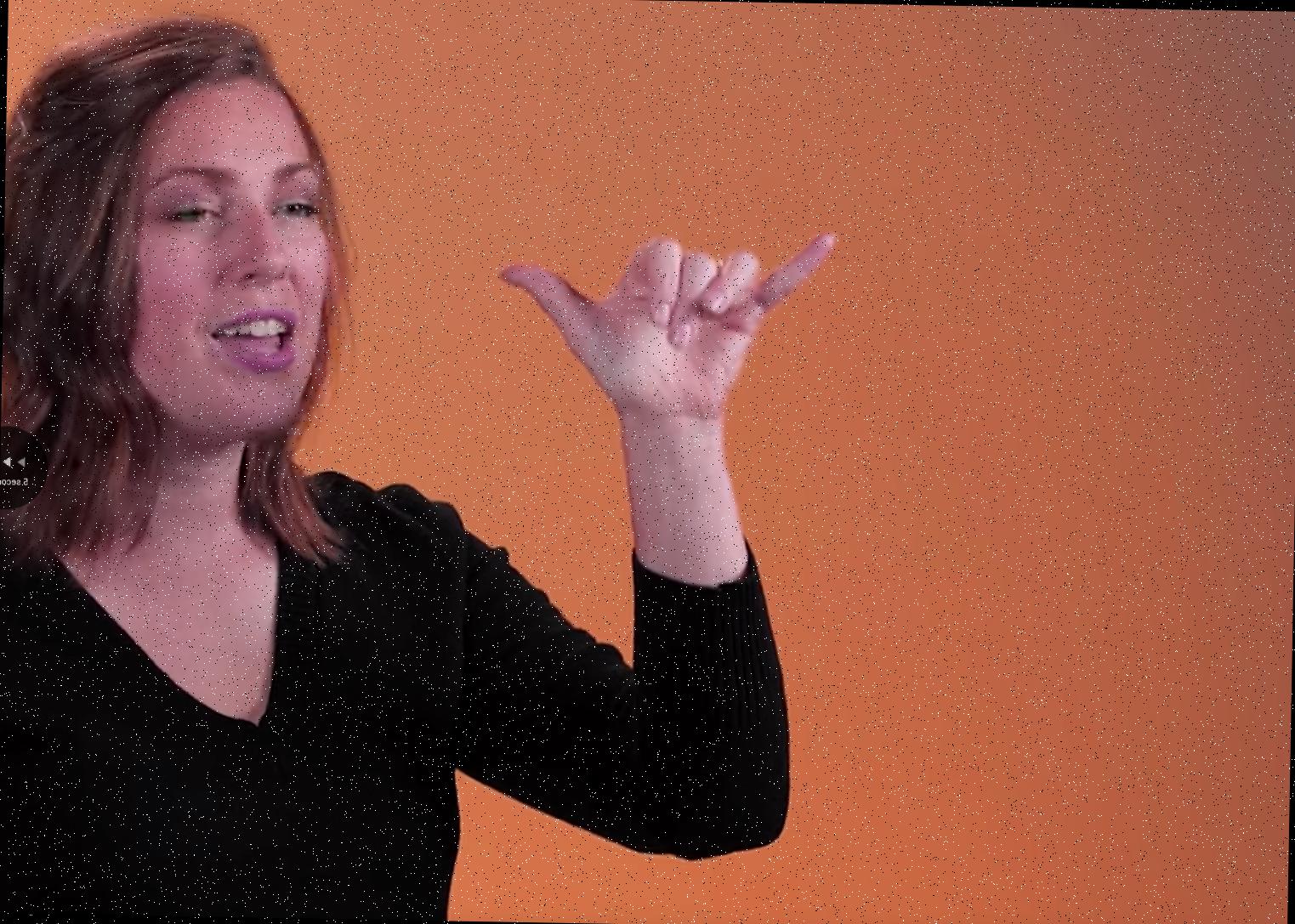 asl Object Detection Dataset by attempt3