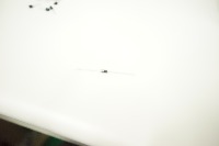 Intro to AI (intro-to-ai-sz6p6) - Roboflow Universe