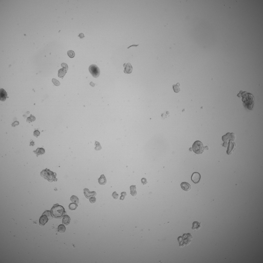 CF classification Classification Dataset and Pre-Trained Model by CF