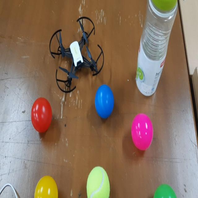 Plastic Balls Object Detection Dataset by erc