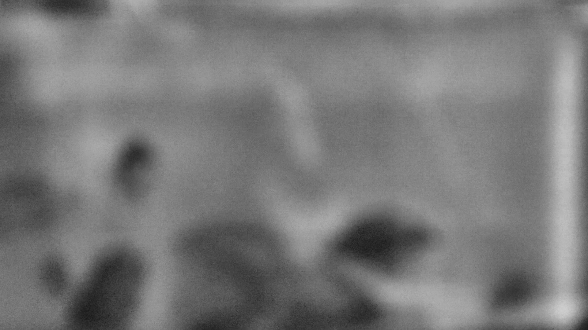 Tilapia Object Detection Dataset by Tilapia