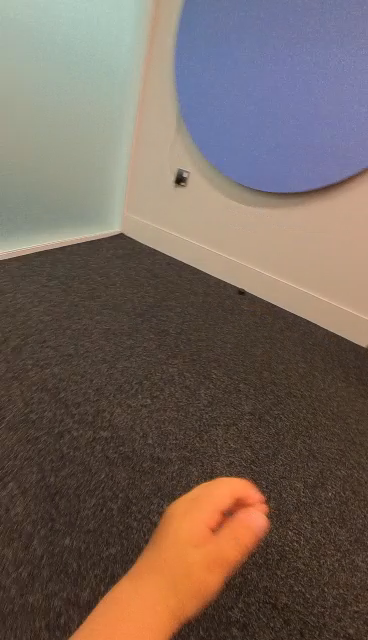 pov - Roboflow Universe