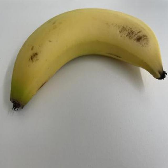 coco Object Detection Dataset by COMSATS