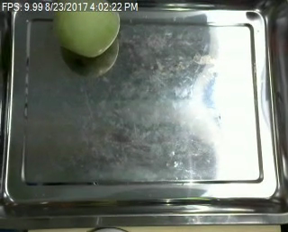 green apples Object Detection Dataset by hola