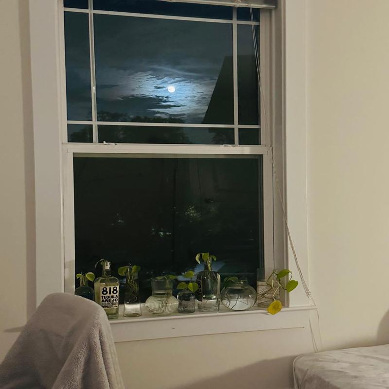 random Object Detection Dataset by sguptha