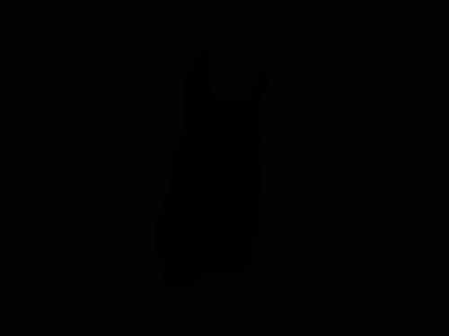 pet Object Detection Dataset by northeastern university