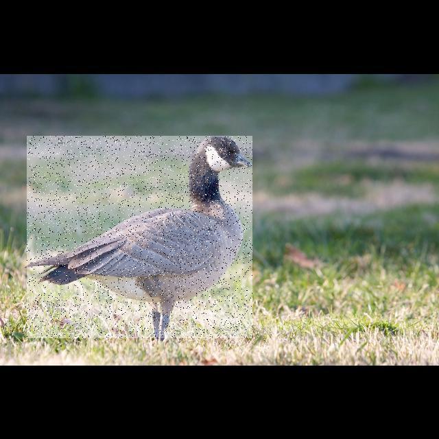 Geese Dettterance Object Detection Model by Adarshs Workspace