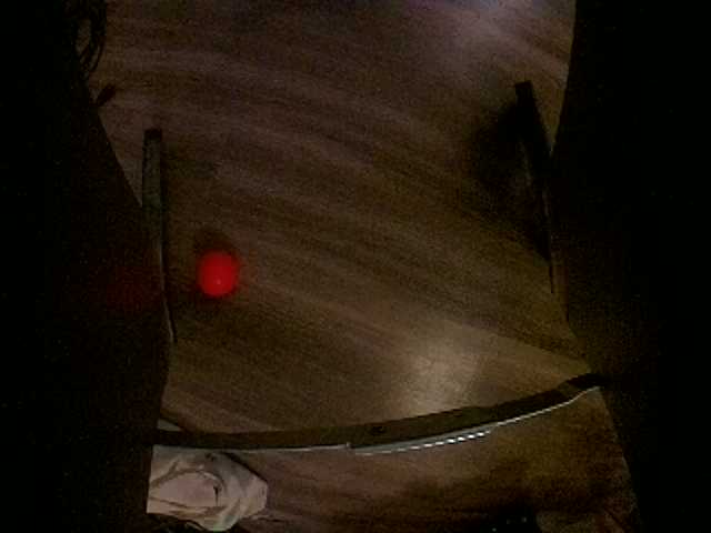 hockey ball detection Object Detection Dataset and Pre-Trained Model by hockey ball