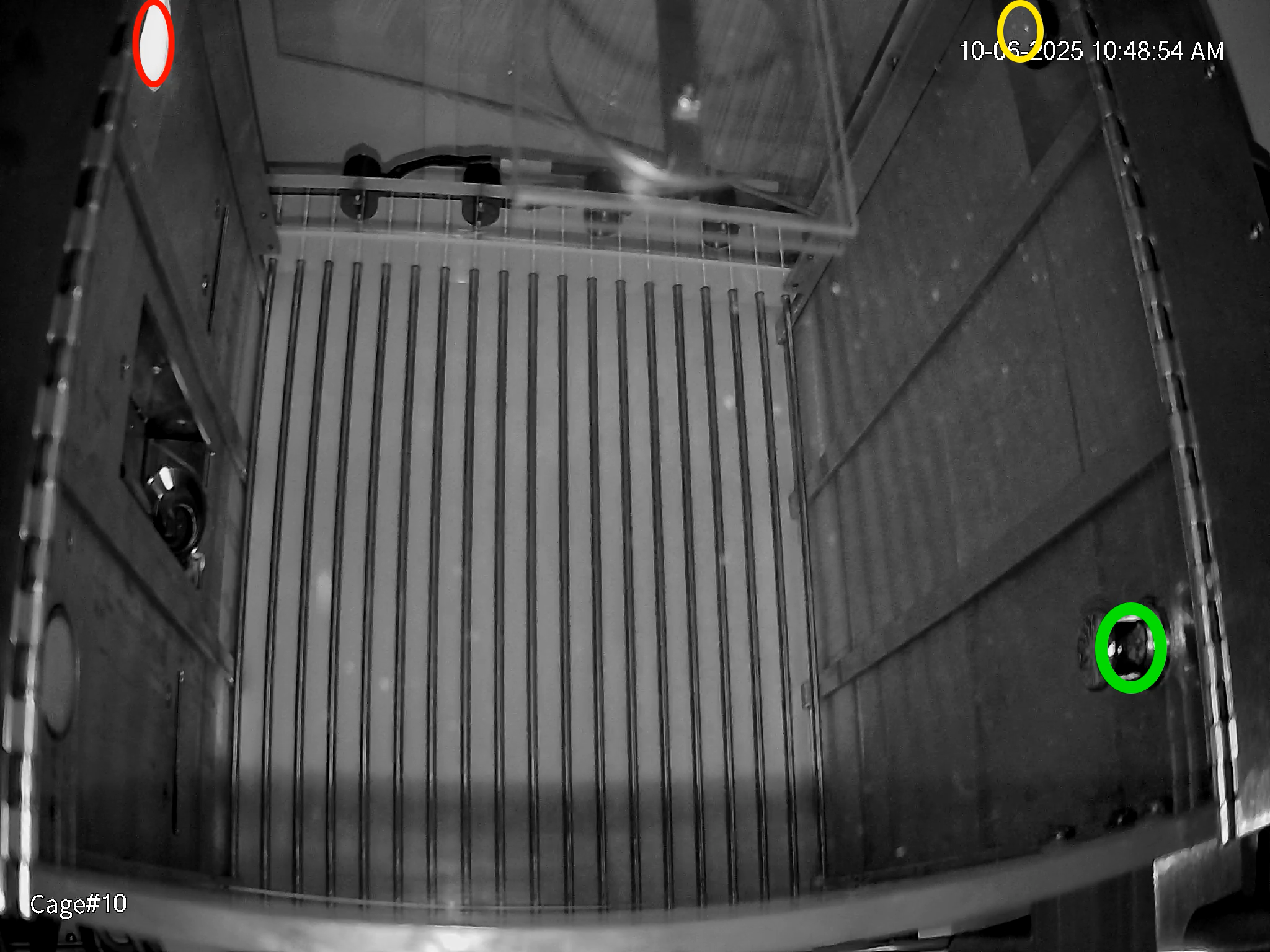 Samaha lab - Roboflow Universe