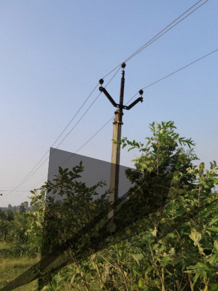 Extensiion2 Instance Segmentation Dataset And Pre Trained Model By Geomaticx