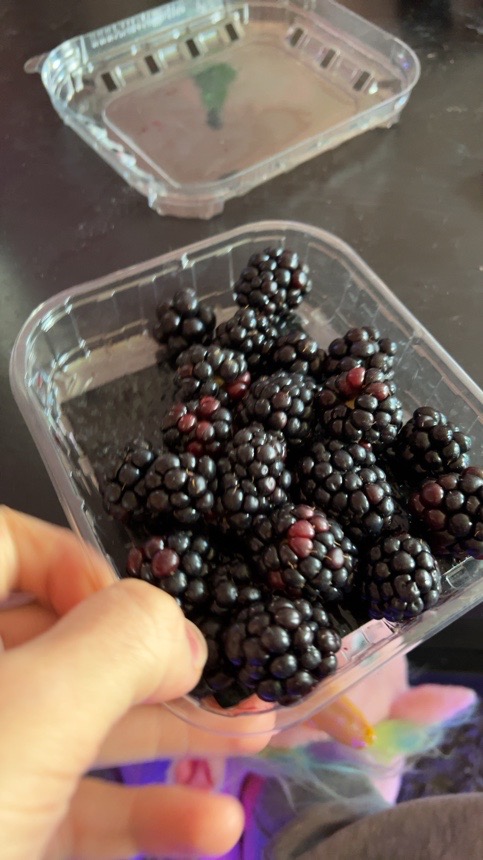 Berry Classifier Classification Dataset And Pre Trained Model By Lennys