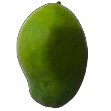 Mango Detection Object Detection Model by Model 1