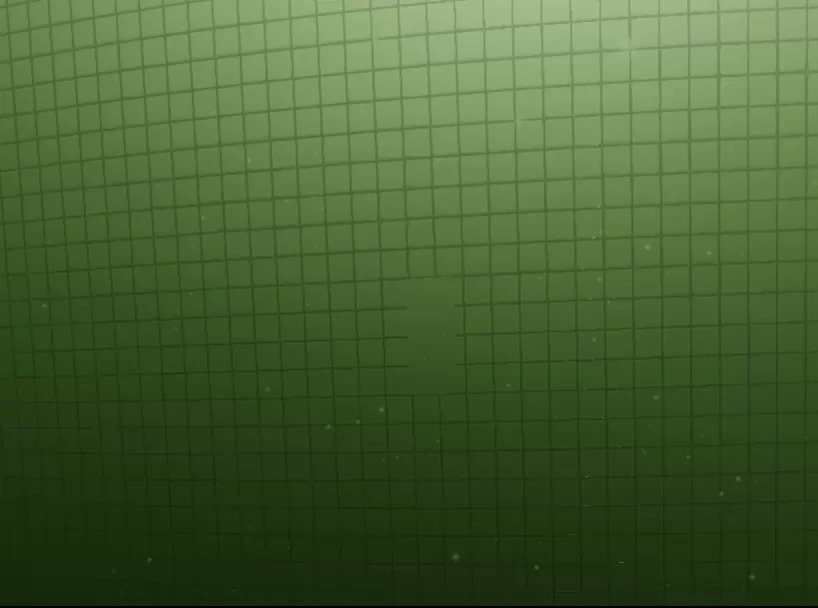 Net_cage_holes Instance Segmentation Model by Salvador Lpez Barajas