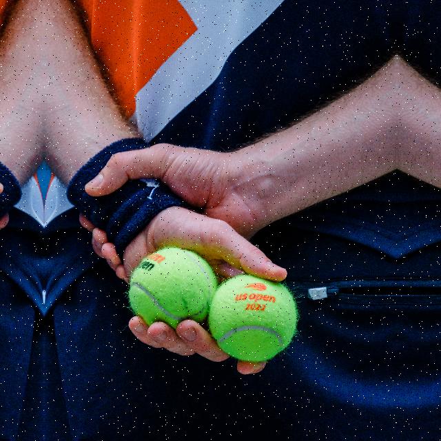 BALLS Object Detection Dataset by Ball