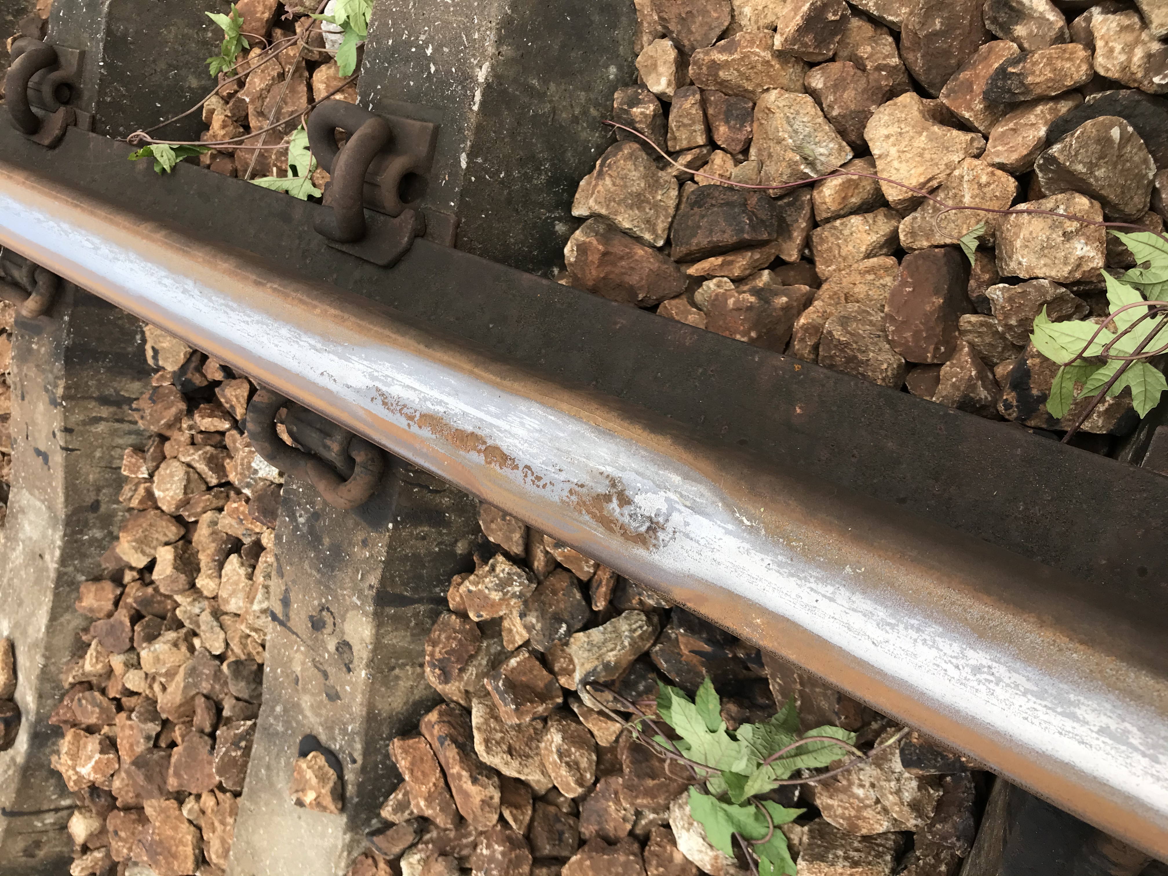 Rail Surface (Ramathibodi) Object Detection Dataset by Ray Obj Detection
