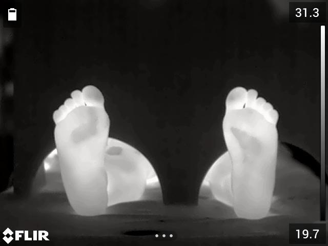 MAMITAS-YOLO Instance Segmentation Dataset by Mamitas