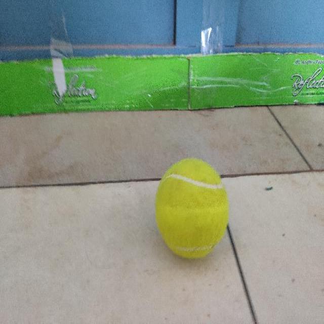 Tennis Ball Obj Det Object Detection Model by AlexA