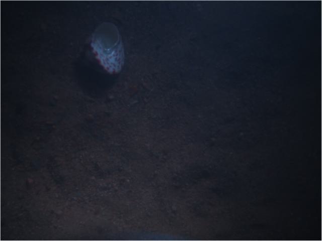 underwater-objects Object Detection Dataset by usis10k