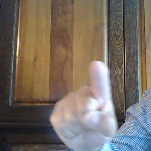 w251 Object Detection Dataset by w251