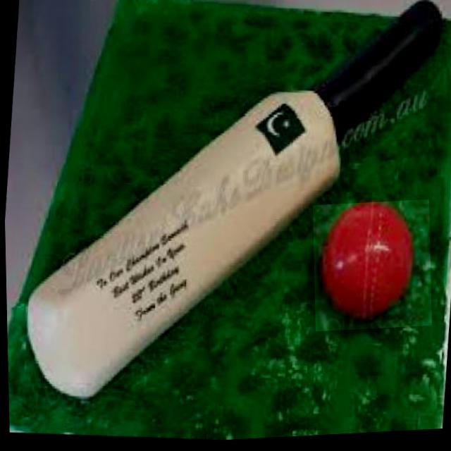 Cricket Ball Detection Object Detection Dataset And Pre Trained Model