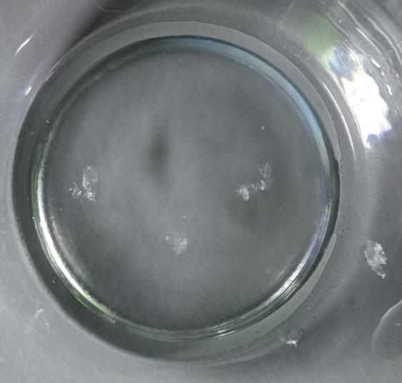 Microplastic Detection Object Detection Dataset And Pre Trained Model