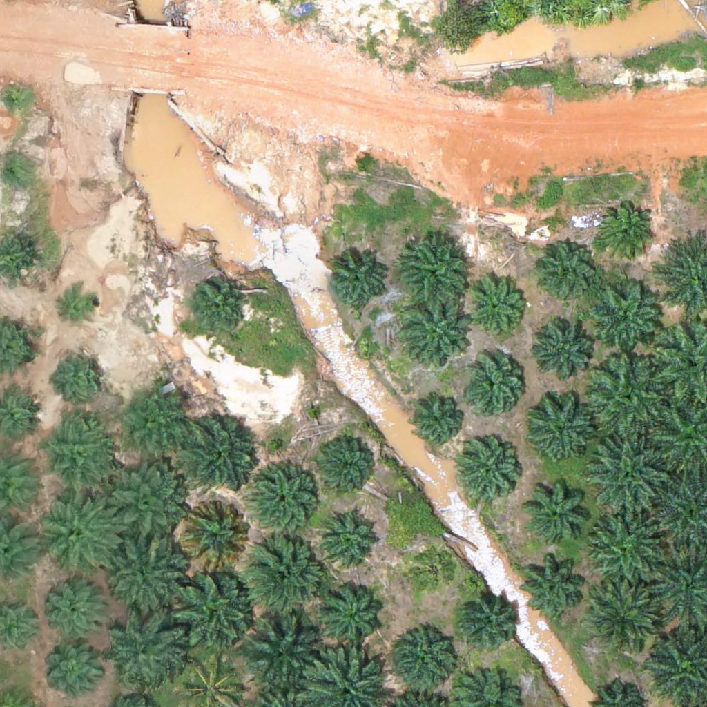 Uav Oil Palm Object Detection Dataset V4 Yolov11m By Project
