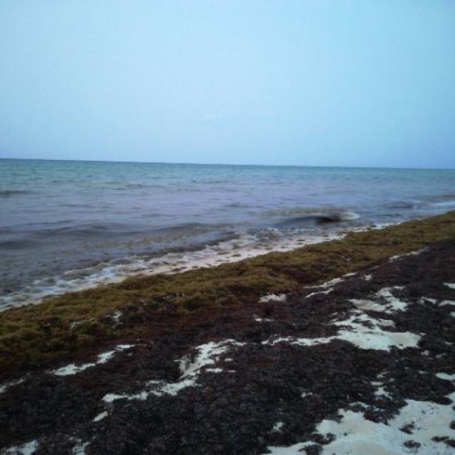 trash detection on beach Object Detection Dataset by JE